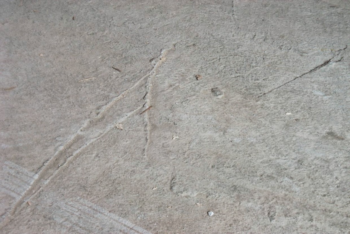 old cement floor