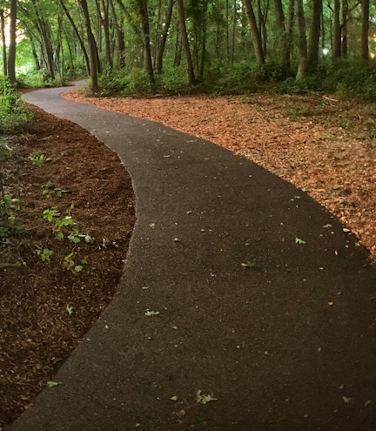 Walking Path Completed with 20,000 Square Feet of Porous Pave XL ...