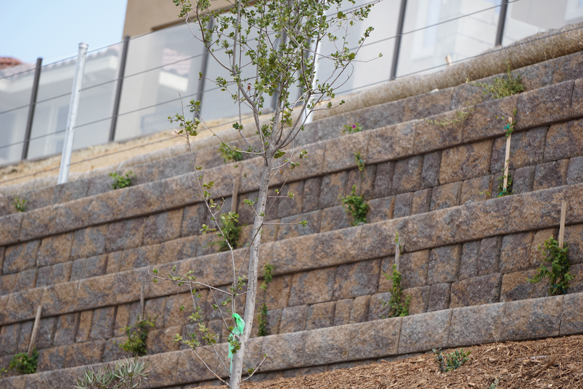 Case Study: Constructing a Plantable Retaining Wall Creates 100 Acres ...